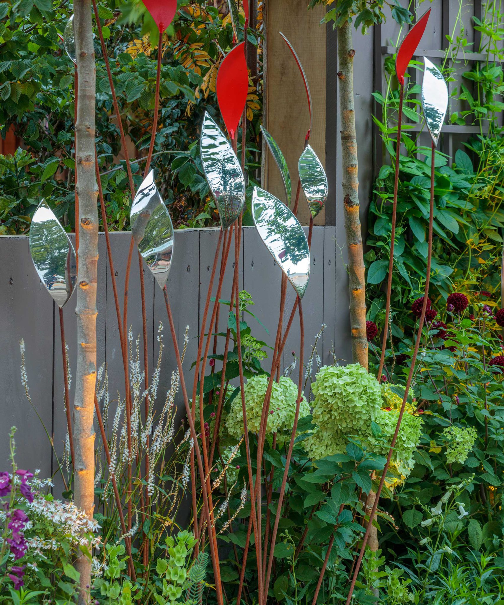 17 Stunning Mirror Plant Reflection Ideas for Your Home - Plant Style Haven