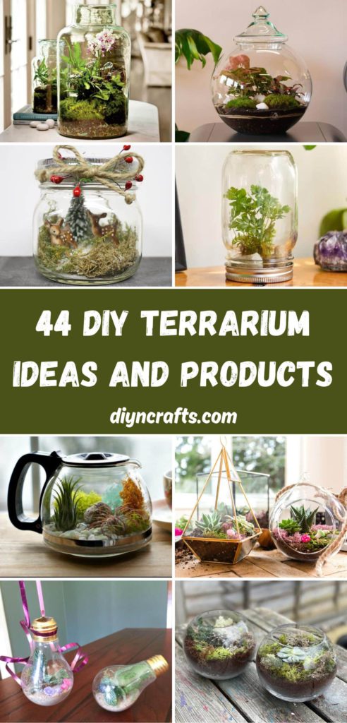 17 Terrarium Crafting Ideas to Transform Your Space - Plant Style Haven