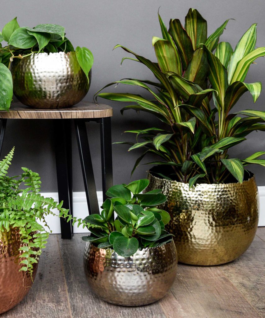 19 Stunning Statement Planters to Elevate Your Space - Plant Style Haven
