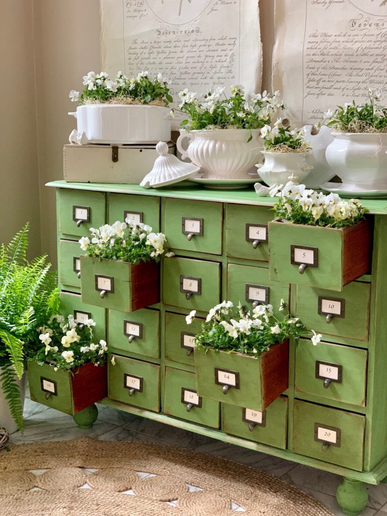Transform Your Home with 17 Charming Drawer Plant Displays - Plant ...