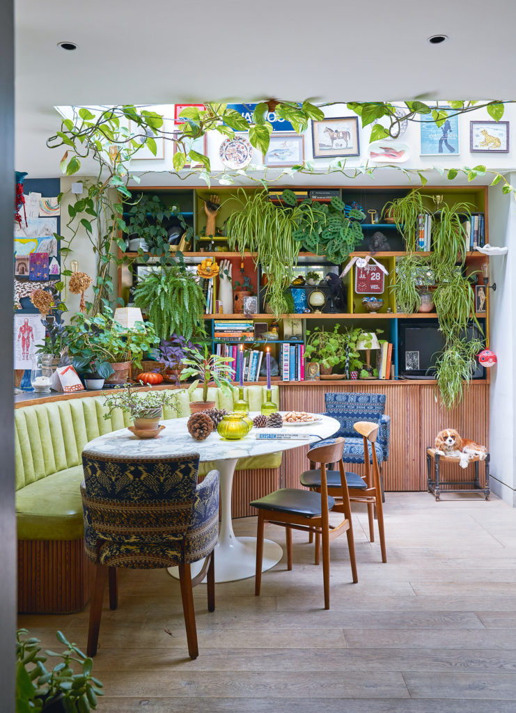 Vibrant Indoor Plant Styles to Elevate Your Space - Plant Style Haven